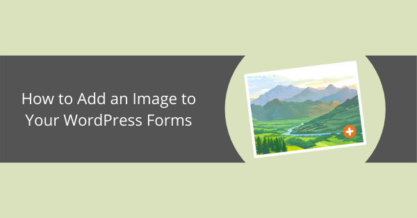 The Complete Guide for Adding an Image to your WordPress Forms